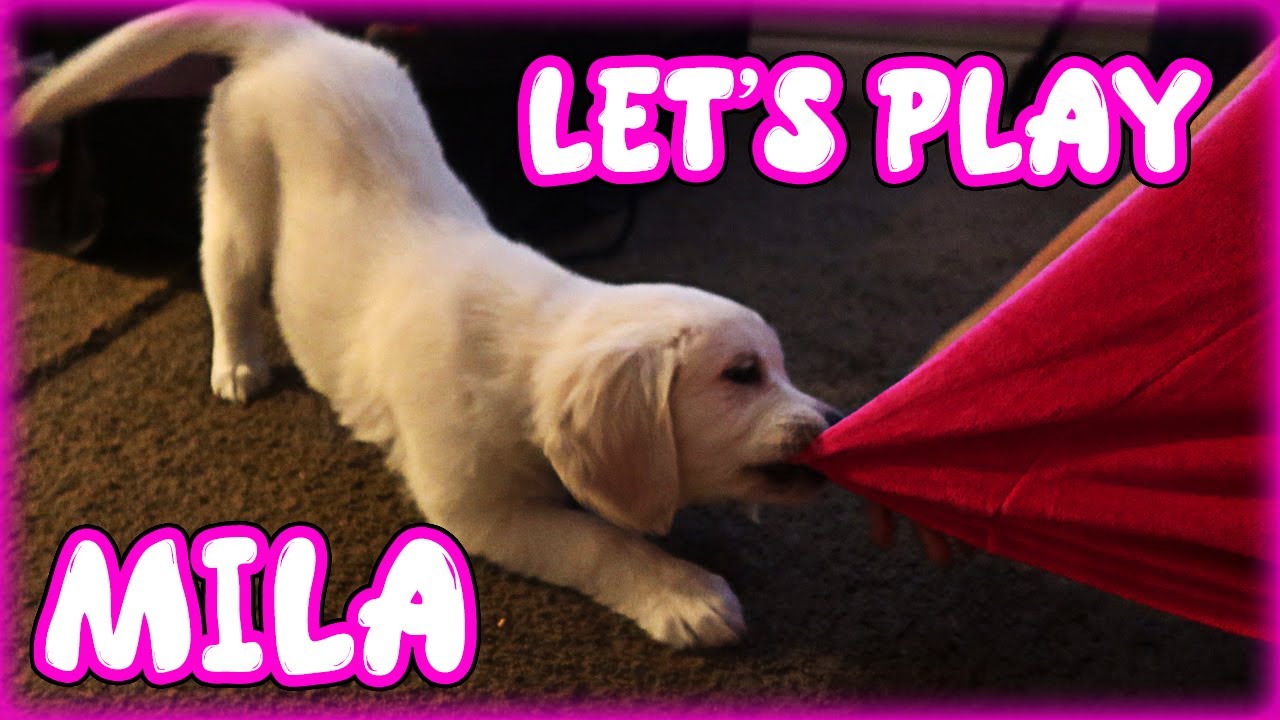 Mila's World: Early Fun Time - YouTube