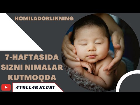 HOMILADORLIKNING 7 HAFTASI HAQIDA | ҲОМИЛАДОРЛИКНИНГ 7 ҲАФТАСИ ҲАҚИДА