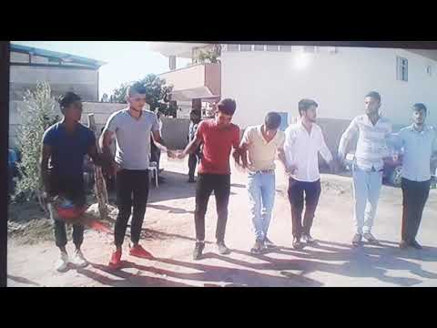 GıRLaVıKT GeNcLeR KopuYoR Tenpoo Tenpoo