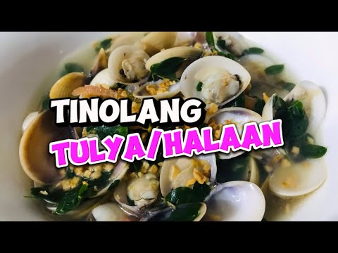 Halaan/Tulya recipe/tinolang tulya/ginisang halaan/ #tulya #halaan # ...
