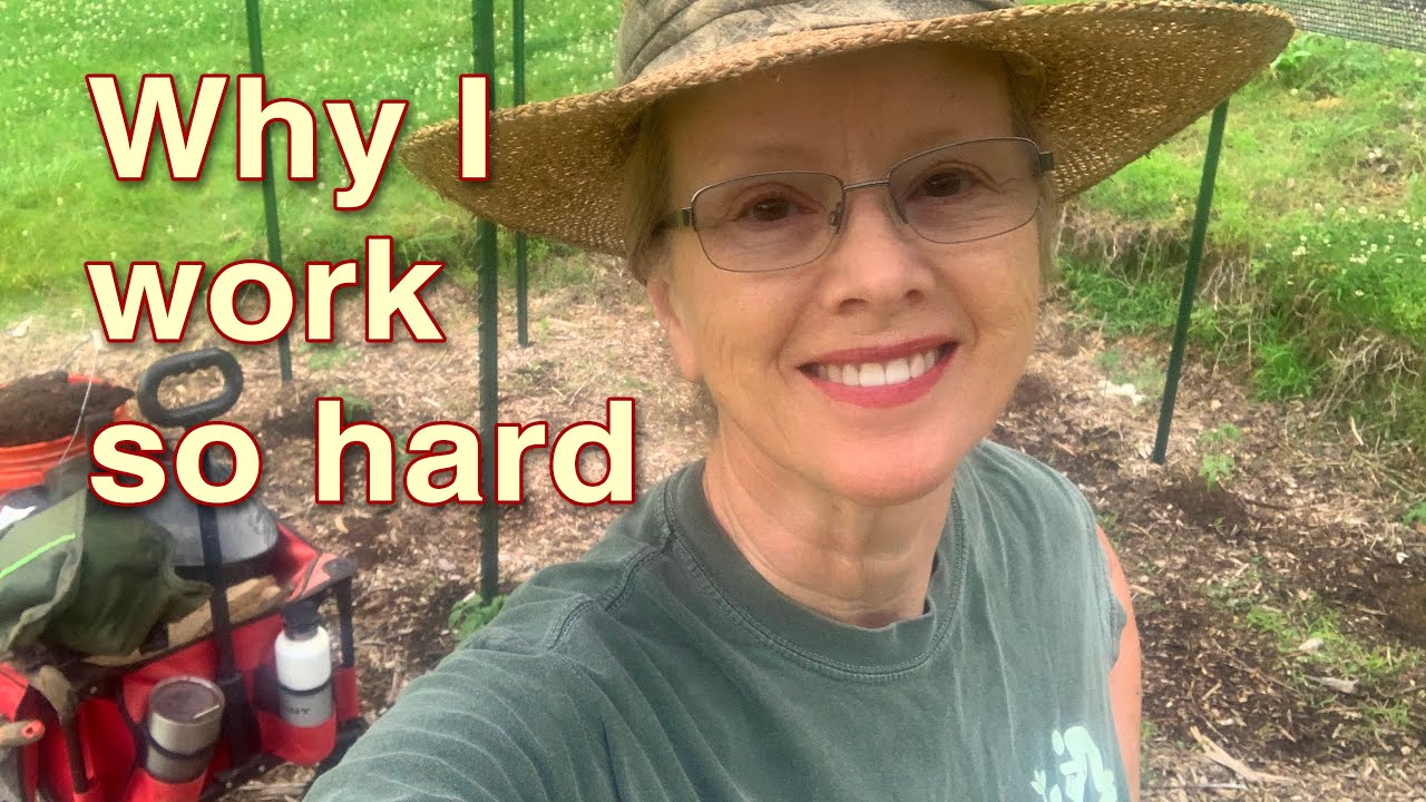 Why I Work So Hard - YouTube