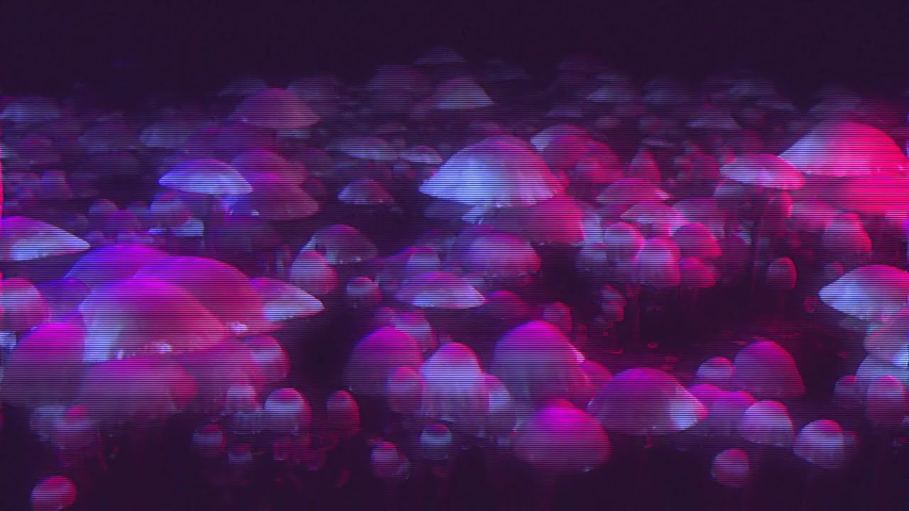 🍄 MAGIC MUSHROOM TRIP MUSIC 🍄 432HZ PSILOCYBIN MEDITATION MUSIC WITH ...