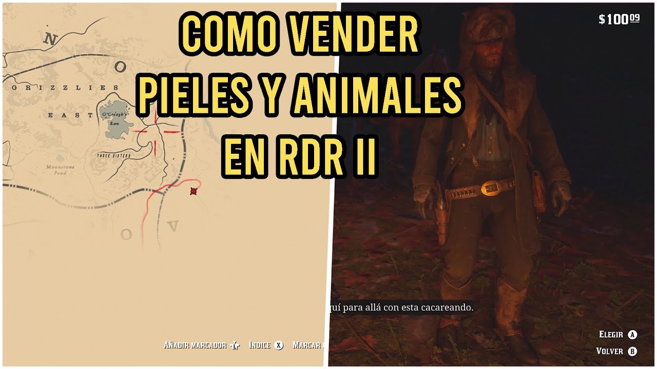 Donde VENDER LA PIEL DE OSO Legendario en Red Dead Redemption II - YouTube