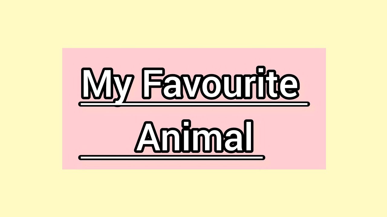 My Favourite Animal | Cat | Essay On My Favourite Animal | Paragraph on ...