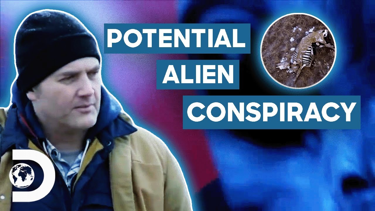 Unraveling Mysterious Cattle Mutilations: Unveiling An Alien Conspiracy ...