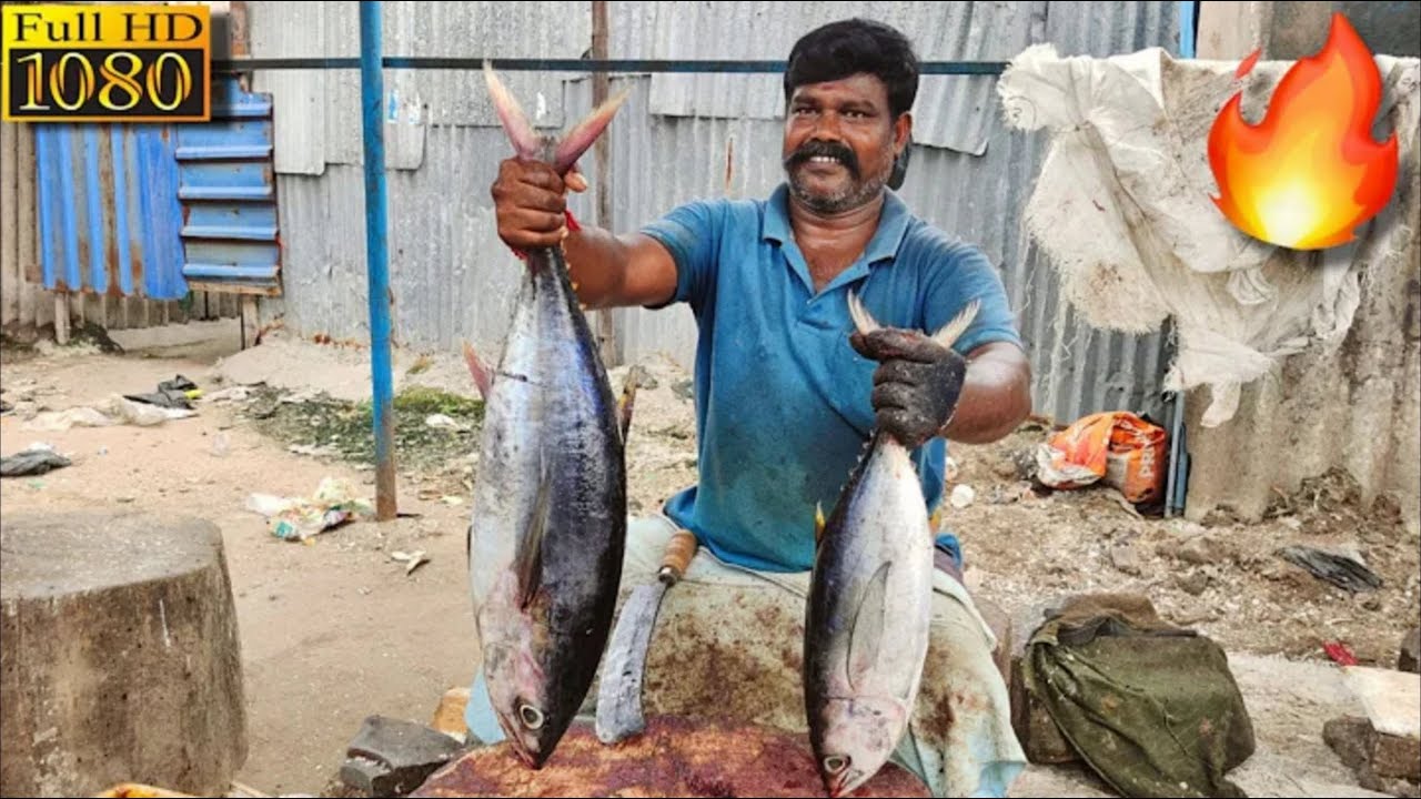 KASIMEDU 🔥DURAI CUTTING | FISH CUTTING🐟 | FISH CUTTING SKILL | KASIMEDU ...