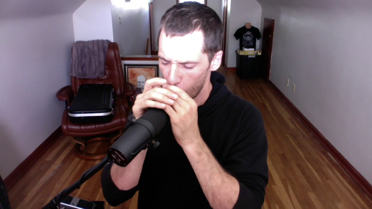 Suzuki Promaster Harmonica Review - YouTube