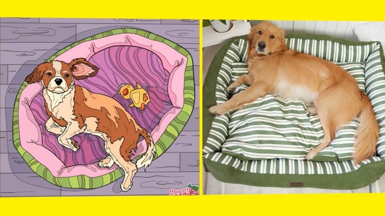 Happy color game color by numbers in real life # 40 - YouTube