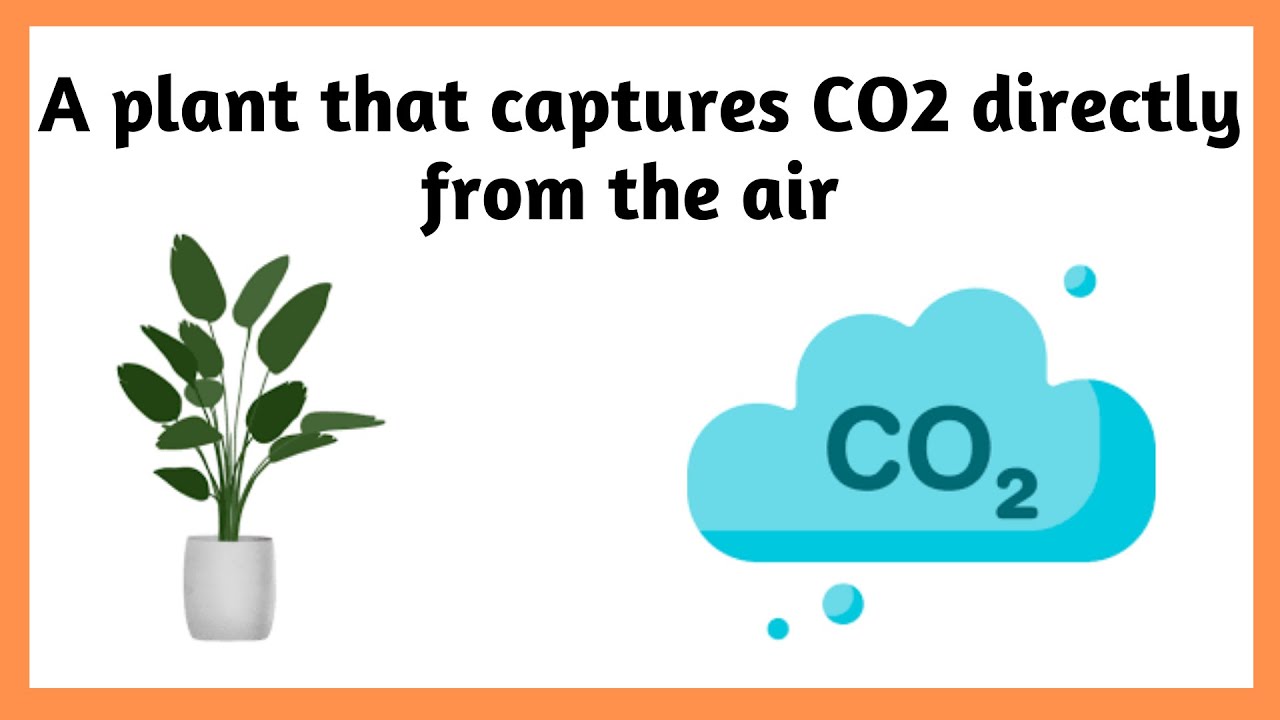 A plant that captures CO2 directly from the air | The world's first ...