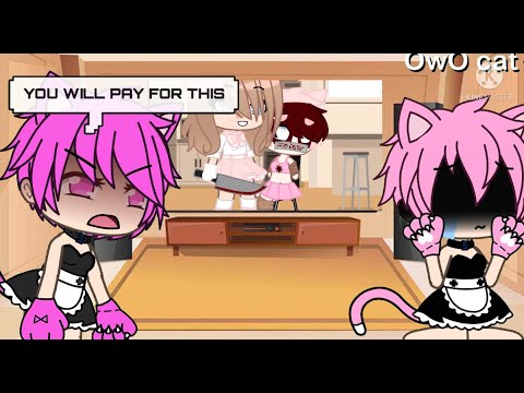 UwU cat and OwO cat reacts to how to cook UwU cat and OwO cat - YouTube