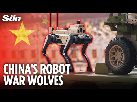 China stages ROBOT WOLVES invasion in latest aggression towards Taiwan