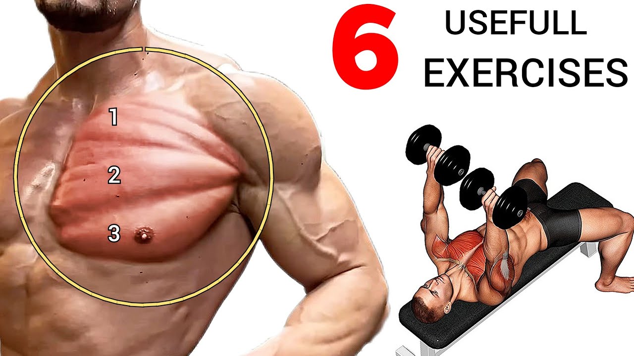 6 Usefull Chest Exercises for Big Pecs - Thick Chest - YouTube