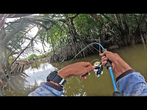 Memancing di Sungai Kecil Berhasil Mendapatkan Banyak Ikan
