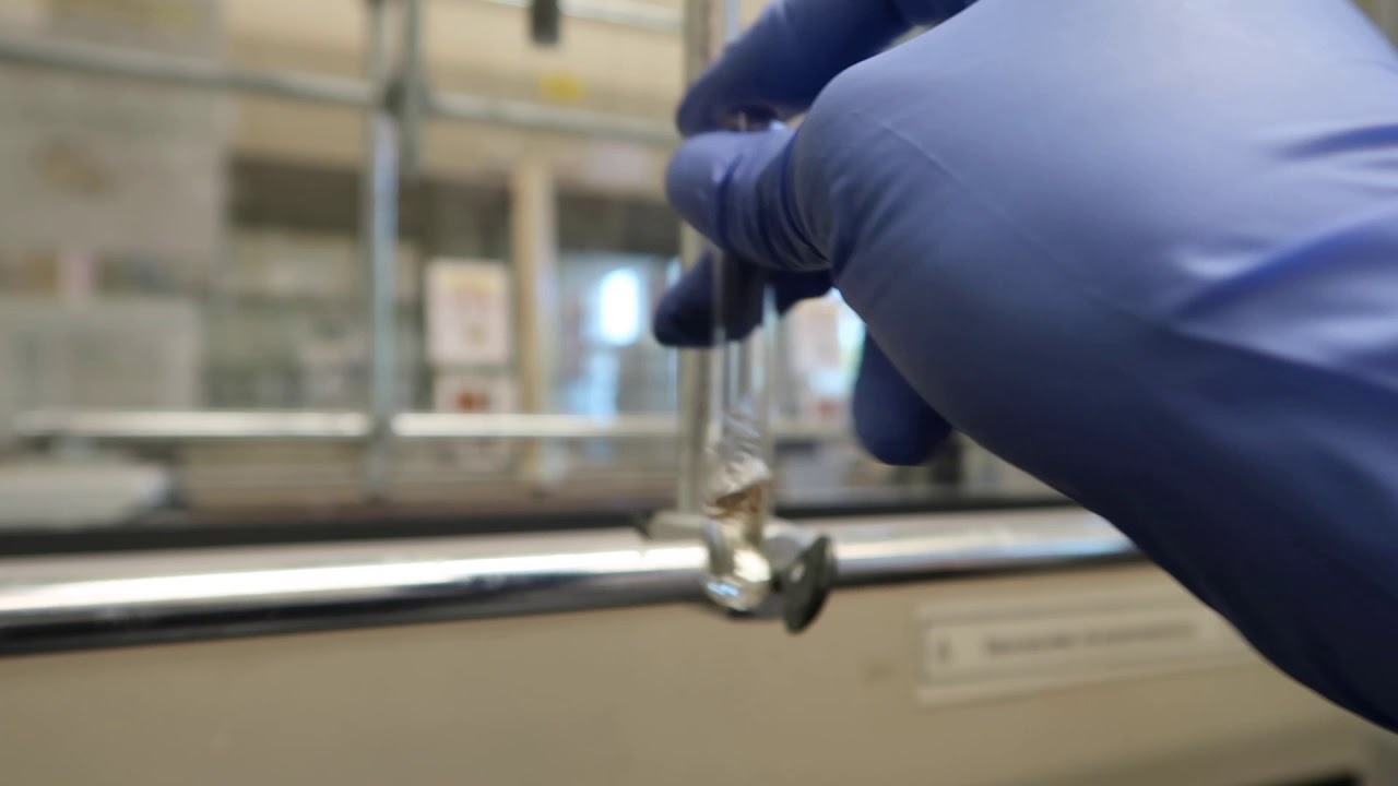 Test Tube Swirling - YouTube