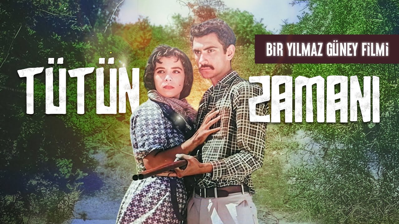 Tütün Zamanı | Yılmaz Güney, Cavidan Dora, Ulvi Uraz, Ahmet T. Tekçe ...
