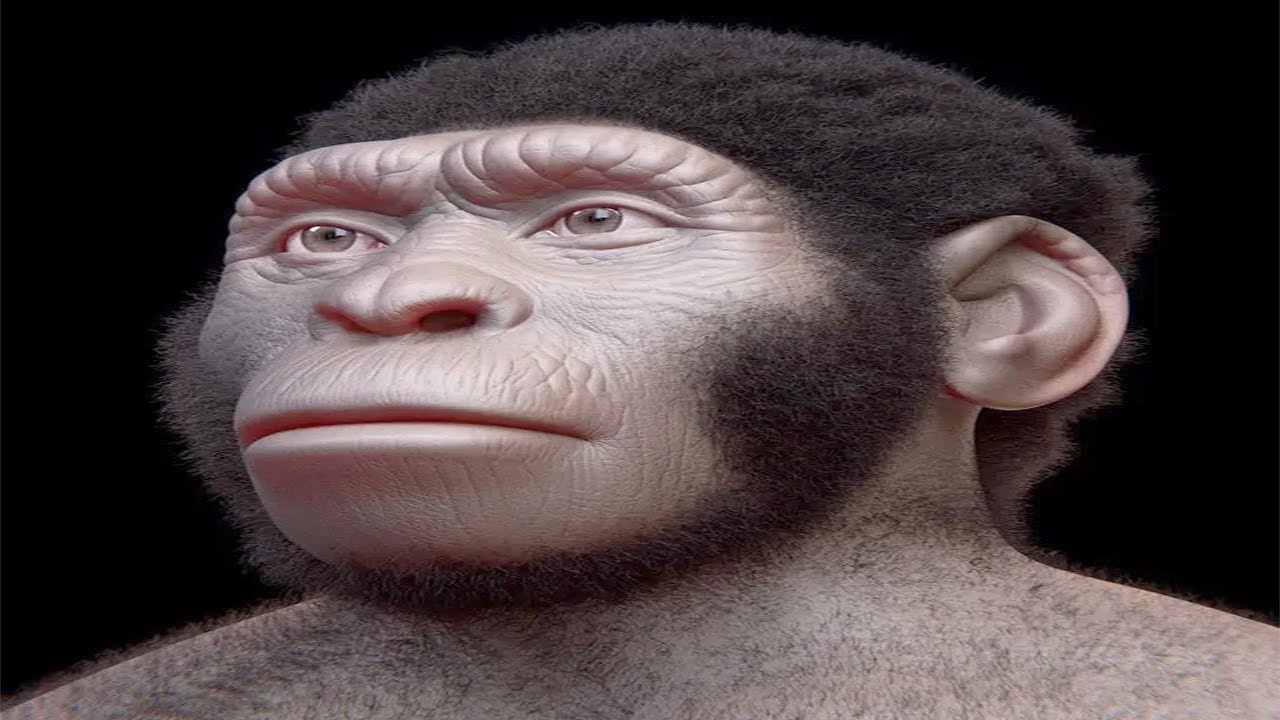 Redefining Human Hand Evolution Neanderthal Dexterity Discovered - YouTube