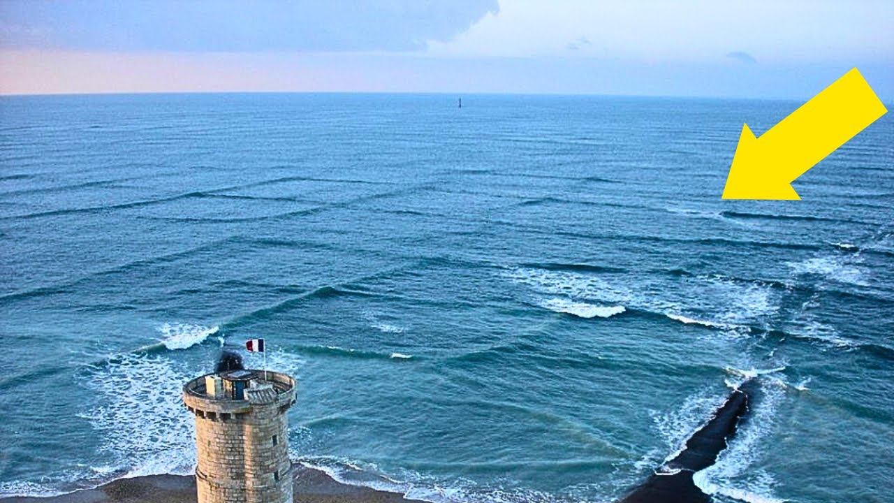 If You See Square Waves In The Ocean Get Out Of The Water Immediately ...