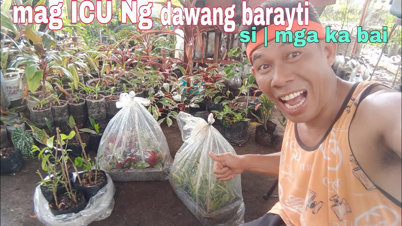 mag icu ng picara at San francisco - YouTube