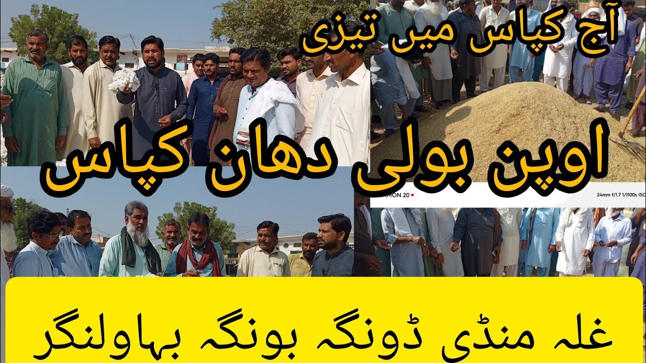 ghla madi dunga bunga bhawel Nagar open rates cotton rice - YouTube
