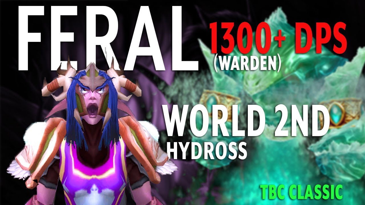 1300+ DPS Feral (Warden) Druid - World 2nd / US 1st Hydross Parse | WoW ...