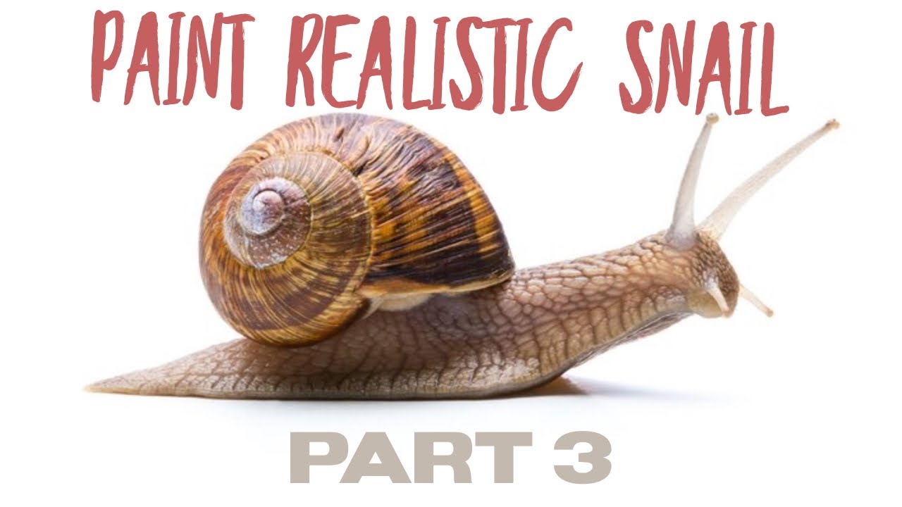 Paint realistic snail - part 3 - YouTube