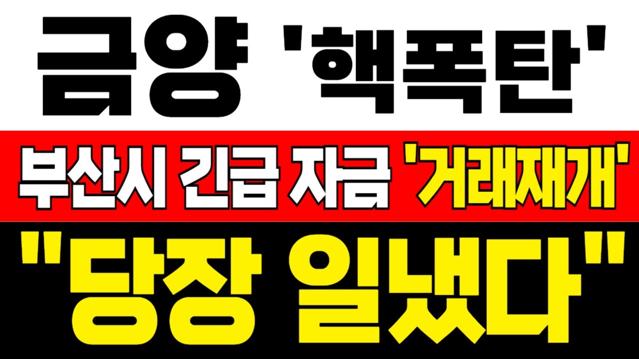 금양 주가 전망 미노출 부산시 연 3조 매출 포기 못한다 재차 거래재개 될 수 밖에 없다 20만 개미투자자는 절대