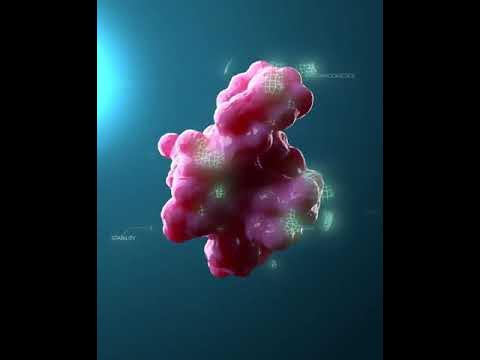 protein structure 3d - YouTube