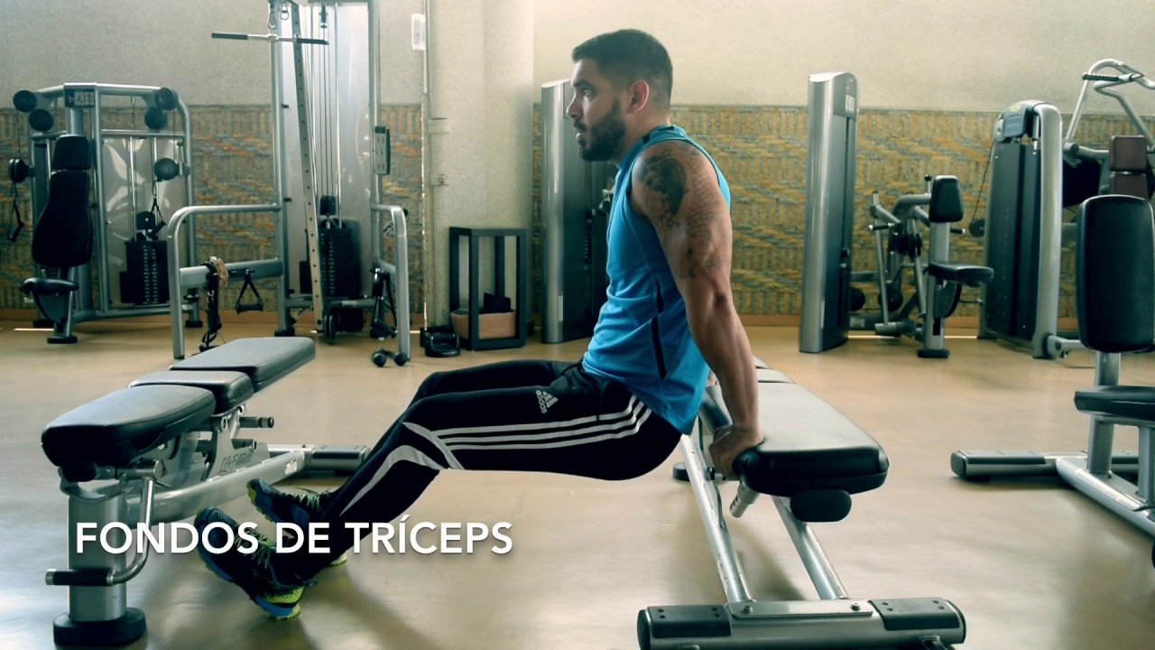 FONDOS DE TRÍCEPS - YouTube
