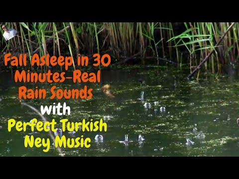 Fall Asleep in 30 Minutes Real Rain Sounds with Perfect Turkish Ney Music