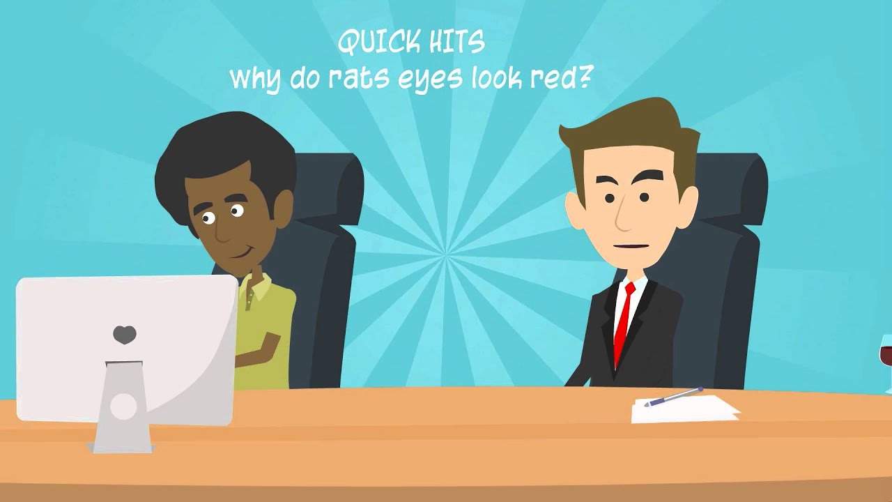 Why Do Rats Have Red Eyes? - Quick Hits - YouTube