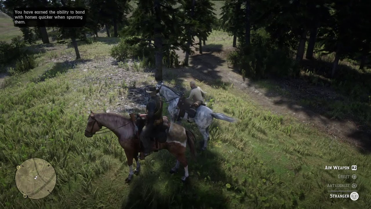 [Red Dead Redemption 2] winning a horse race and antagonizing the loser ...