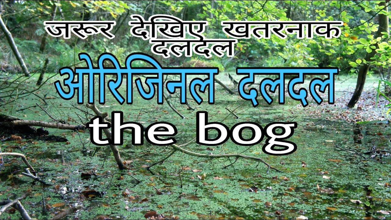 खतरनाक दलदल जरूर देखिए। The bog most Dangerous place.🧐 - YouTube