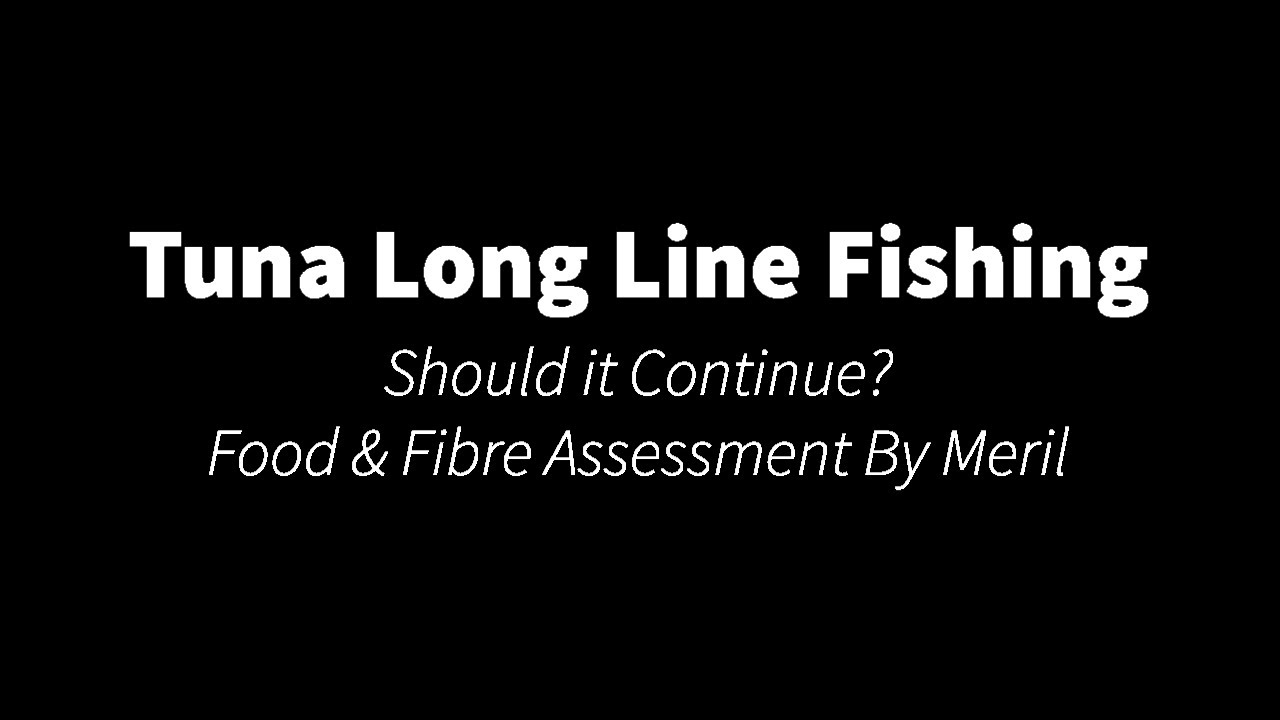 Tuna Long Line Fishing - YouTube