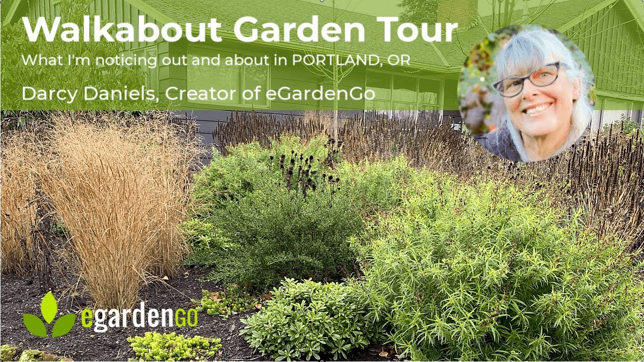 Walkabout Garden Tour with Darcy in Portland - YouTube