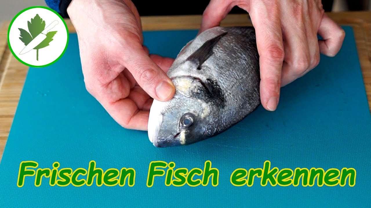 Frischen Fisch einkaufen - Darauf musst Du achten! - Meine Tipps - YouTube