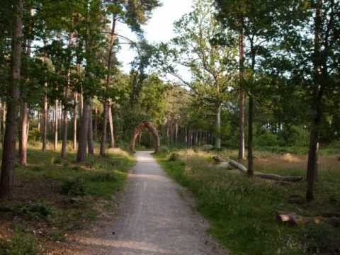 Basing Wood Basingstoke - YouTube