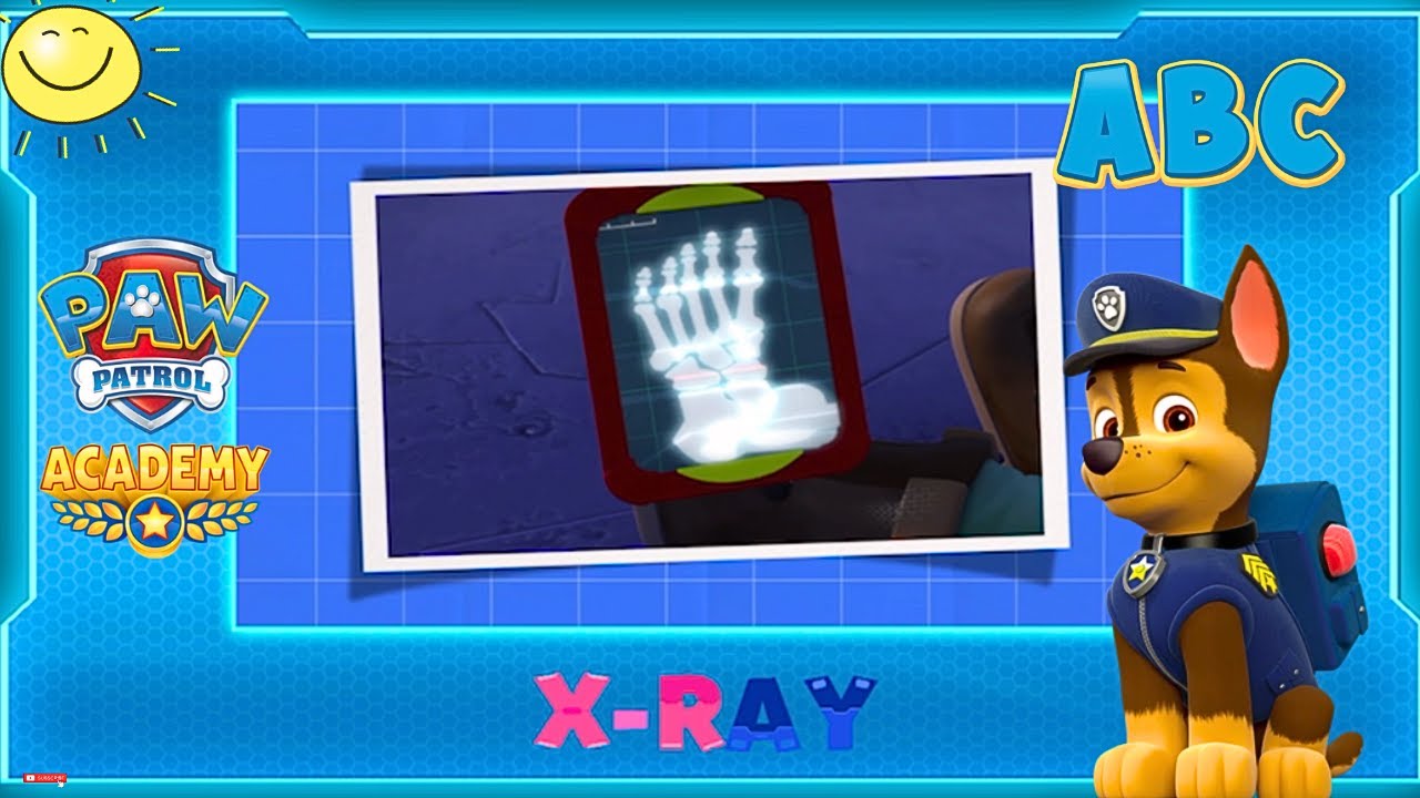PAW Patrol Academy | Learn ABC's With Chase | Spell the Word XRAY 🩻 ...