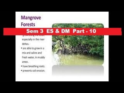 Semester 3 Environmental Science and Disaster Management Part - 10 ...
