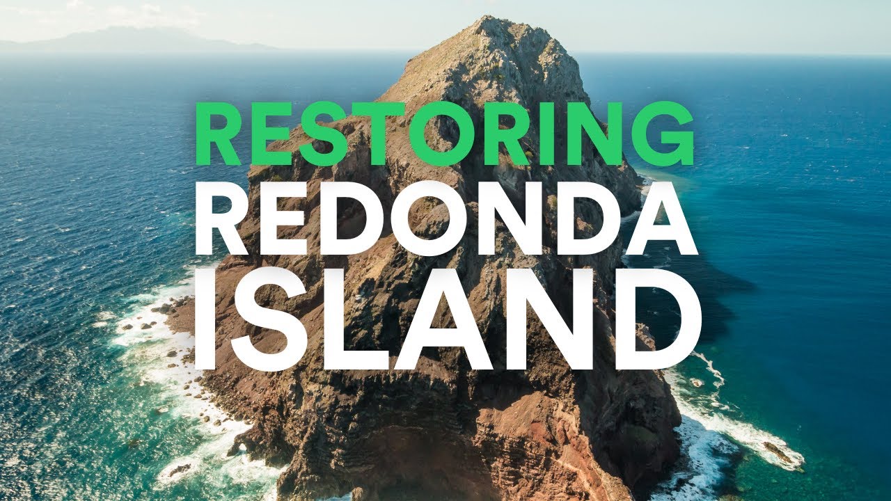 Rewilding Redonda Island - Antigua and Barbuda - YouTube