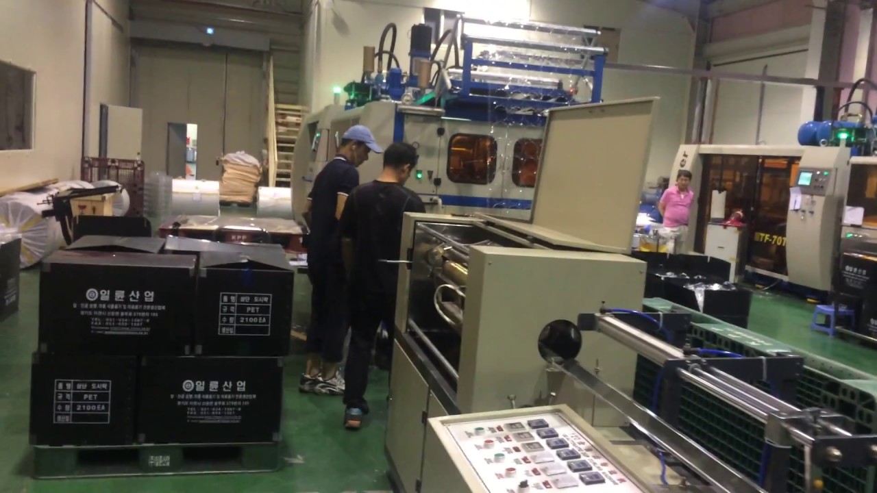 Automatic tilting thermoforming machine for cup taken in Korean ...
