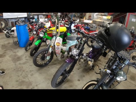 Postie Gang Hits The Postie Nats - YouTube