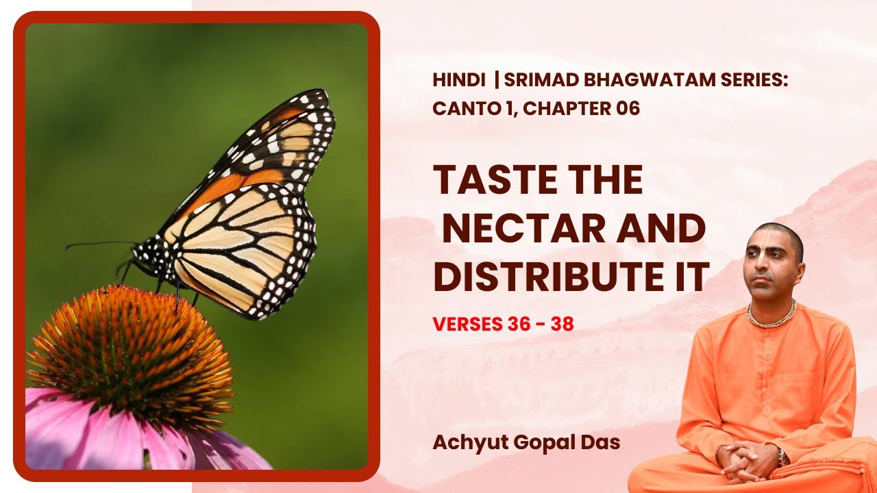 TASTE THE NECTAR AND DISTRIBUTE IT SB{1.6.36-38} - YouTube