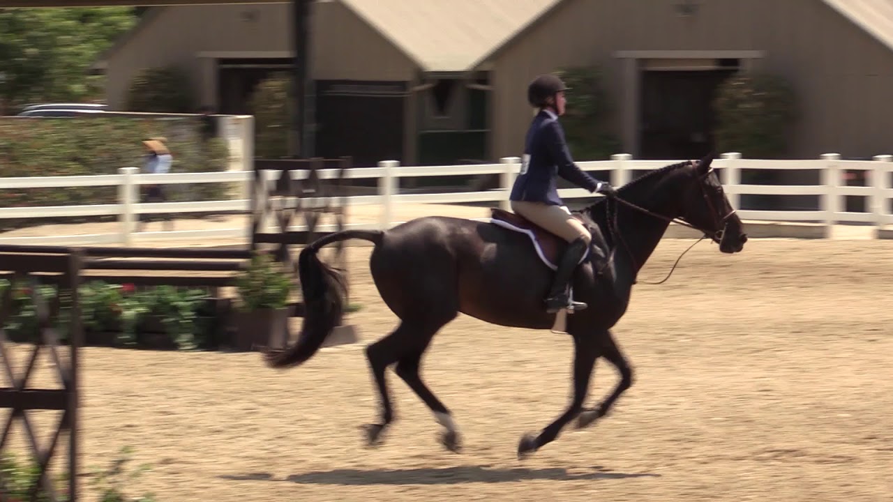 644 - Emily Beutner - Crescendo - YouTube
