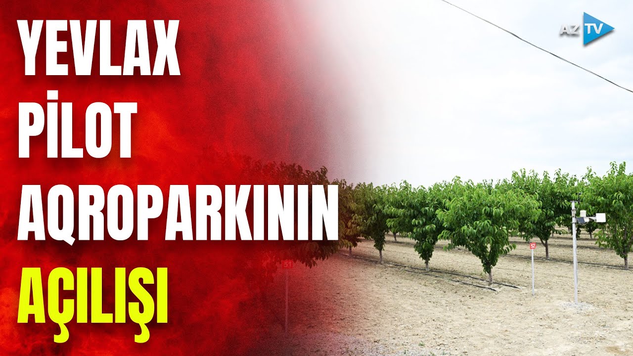 Prezident İlham Əliyev Yevlax pilot aqroparkının açılışında iştirak ...