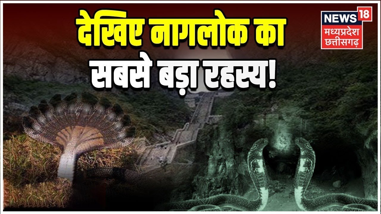 Naglok News : Naglok का बड़ा रहस्य, इस गांव में सांप का जहर पिते है लोग ...