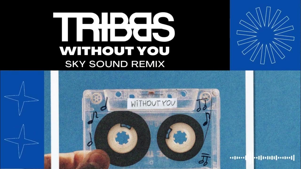 Tribbs - Without You (Sky Sound Extended Remix) (Visualizer) - YouTube
