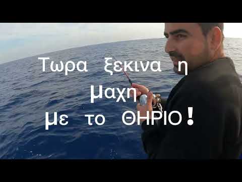 Μαγιατικο 35Kg ...Απο την Αρχη μεχρι το τελος!!Καλαμαρια με συρτη το ...