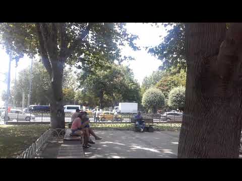 SEX SEX YOK SURİYELİLER FATİH ANIT PARKTA TÜRK KIZLARINI TACİZ EDİYOR TECAVÜZ GİRİŞİMİ