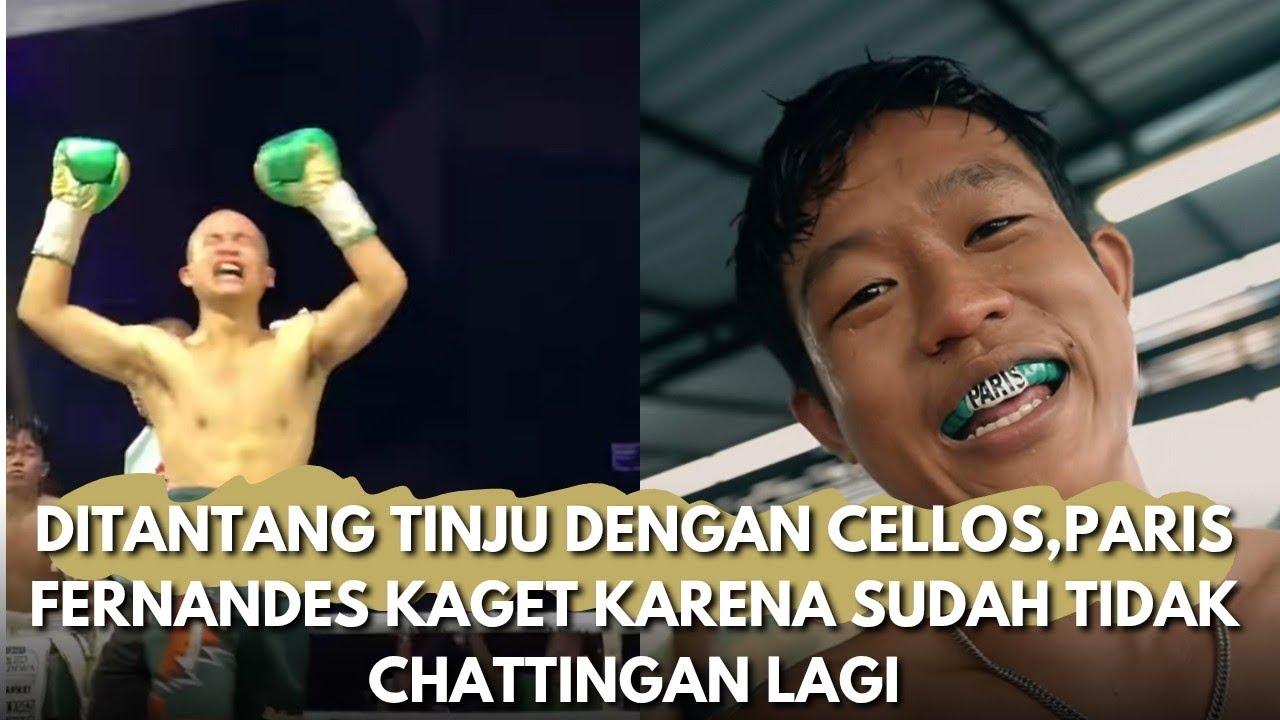 Cellos Tantang Tinju, Paris Kaget! Alasan Tak Terduga di Balik ...