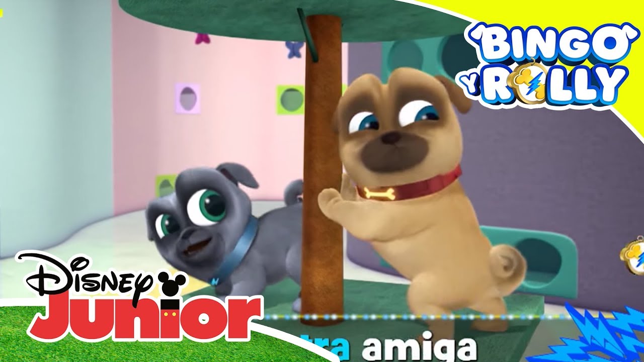 Bingo y Rolly: Disney Junior Music Party: ''A Buffy encontremos ...